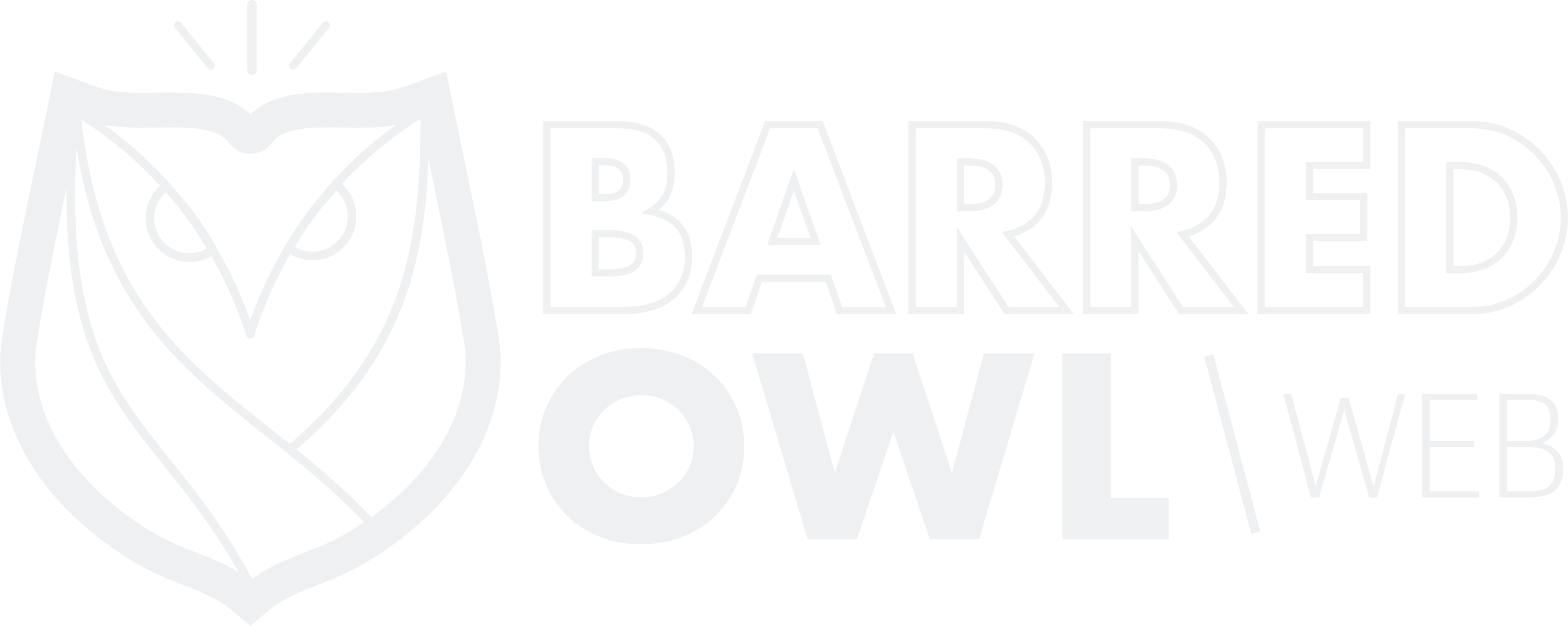 What is Web Hosting? - Barred Owl Web