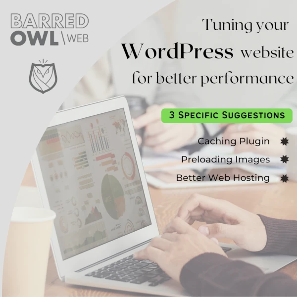 Tuning your WordPress website for better performance - Barred Owl Web