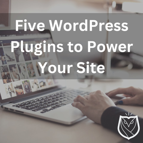 Five Free WordPress Plugins To Power Your Website - Barred Owl Web